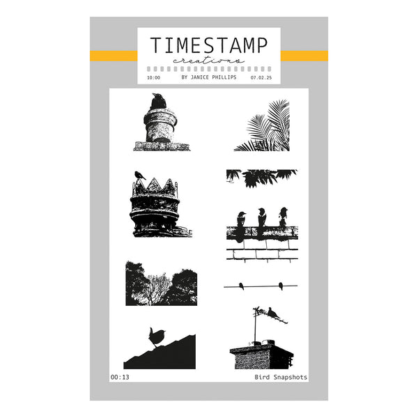Timestamp Creations by Janice Phillips - Bird Snapshot A6 Stamp Set ...