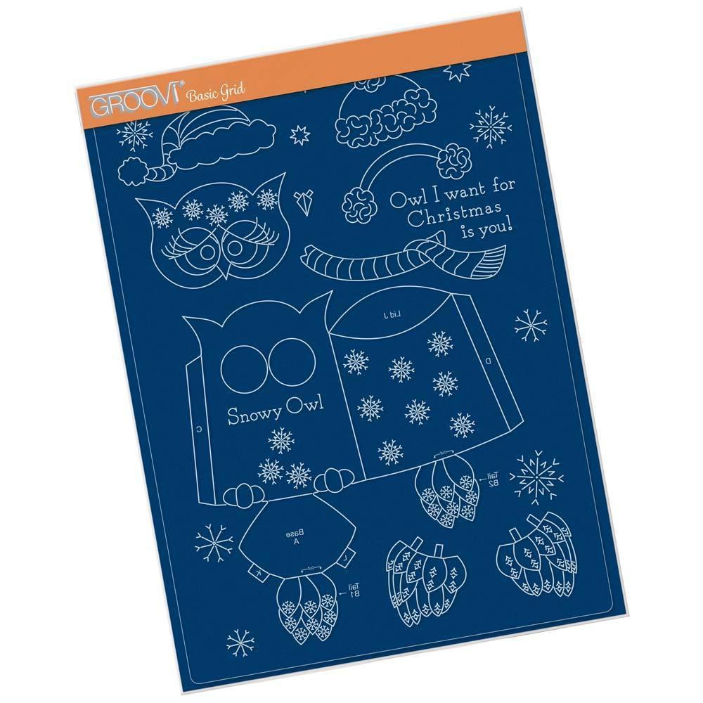 Linda's Snowy Owl Tem-plate A4 Groovi Plate – Claritystamp
